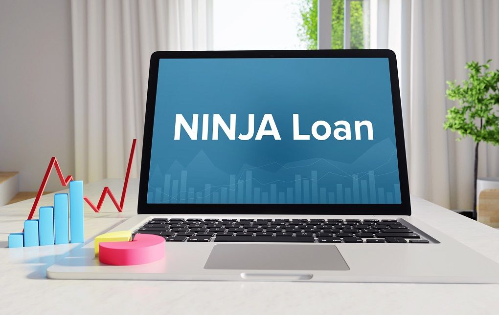 NINJA Loan - How It Works, History, Pros and Cons