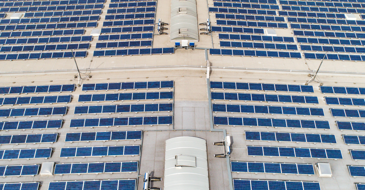 Net Zero vs. Carbon Neutral - Definition, Achieve