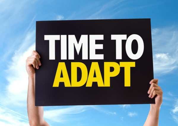 The Four Principles of Adaptive Leadership