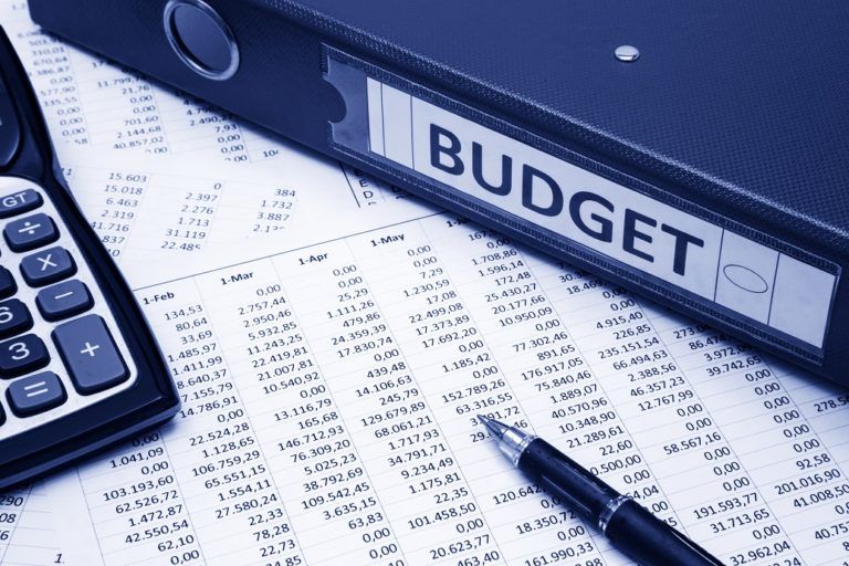 Budget Variance - Definition, Primary Causes, Types