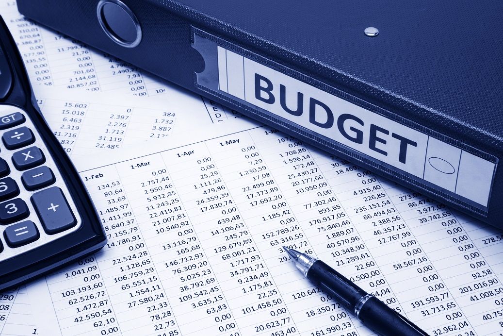 Budget Variance - Definition, Primary Causes, Types