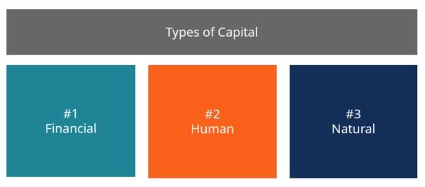 Capital - Definition, Types, Money vs Capital