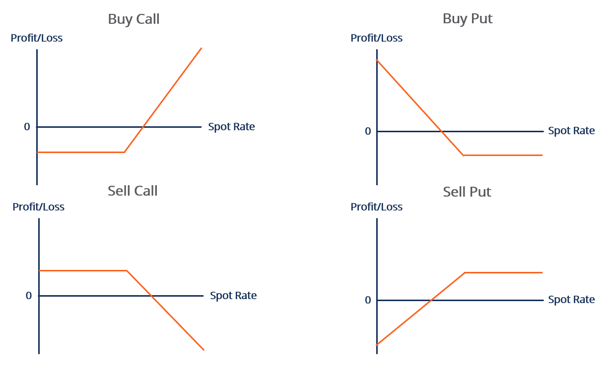 Currency Option - Definition, Types, and How It Works