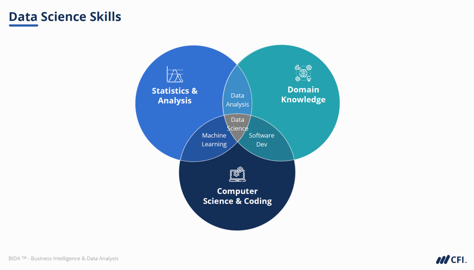 Data Science Career Profile | CFI