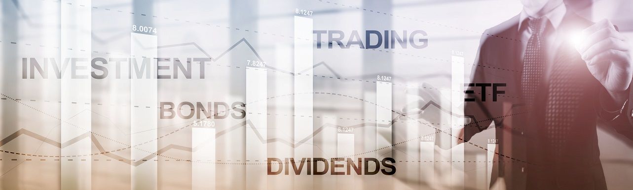 Debt/Bond Fund - Overview, Types, Advantages, & Disadvantages