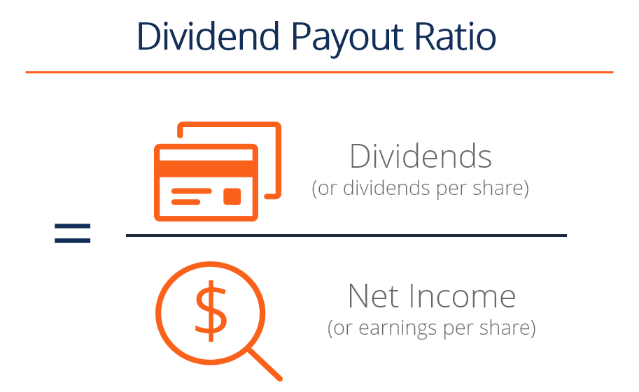 Dividend Payout Ratio Defined Formula Guide