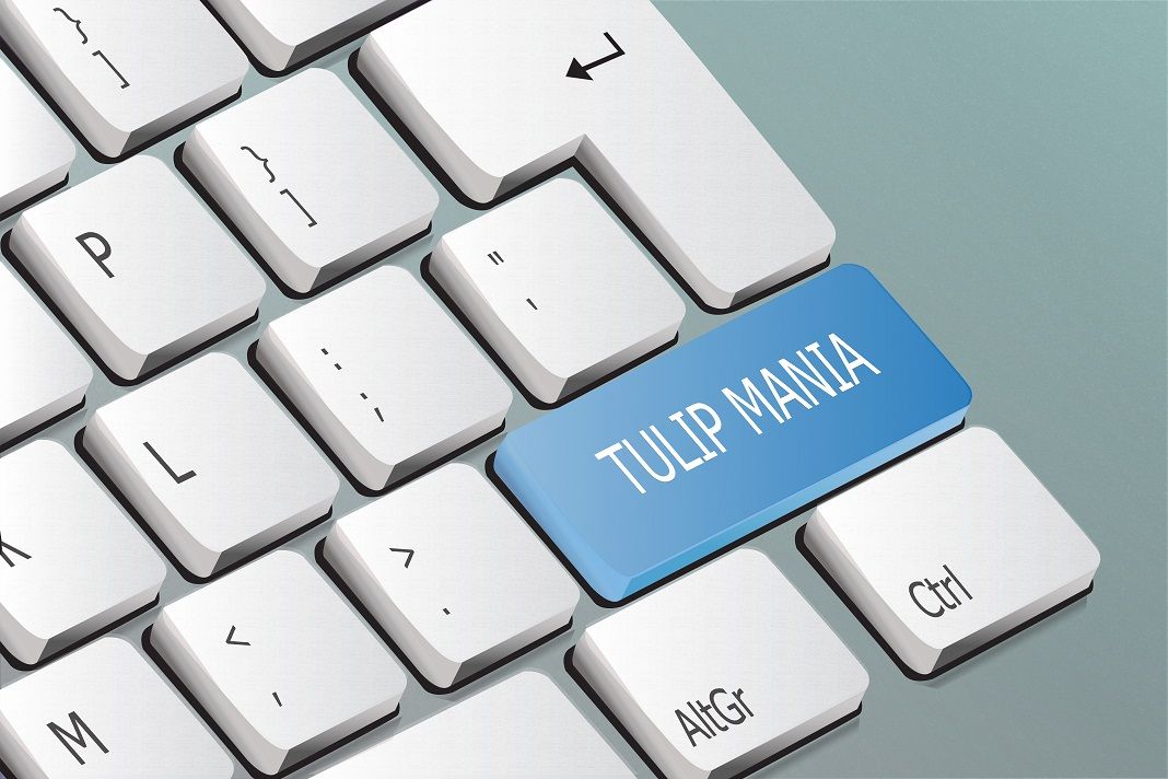 Dutch Tulip Bulb Market Bubble - Overview, History