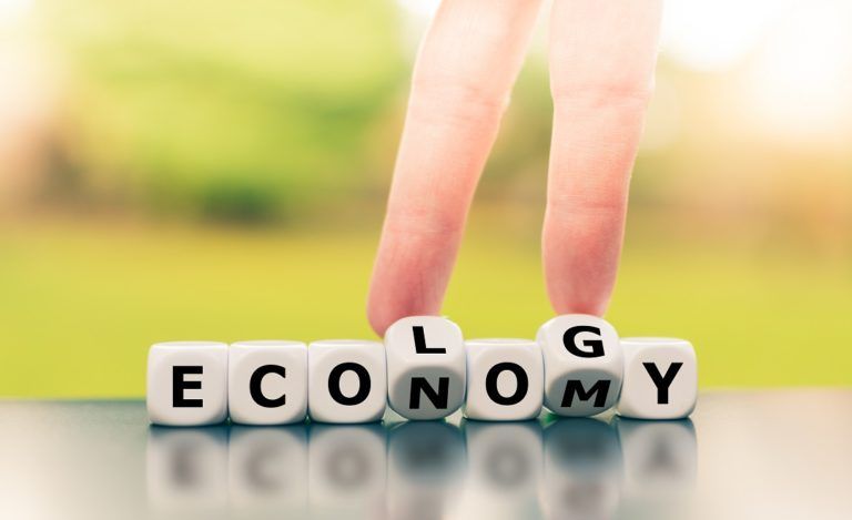 Environmental Economics - Definition, Importance, Scope