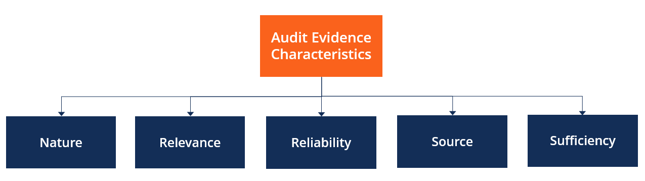 Evidence in an Audit - Overview, Characteristics