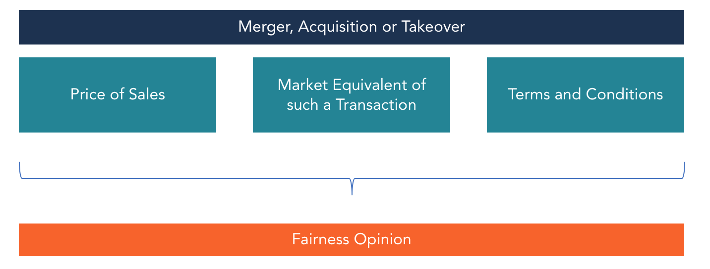Fairness Opinion - Definition, Examples, Process