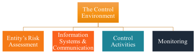 Internal Controls - Overview, Limitations, Components