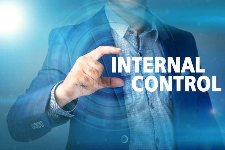 Internal Controls - Overview, Limitations, Components