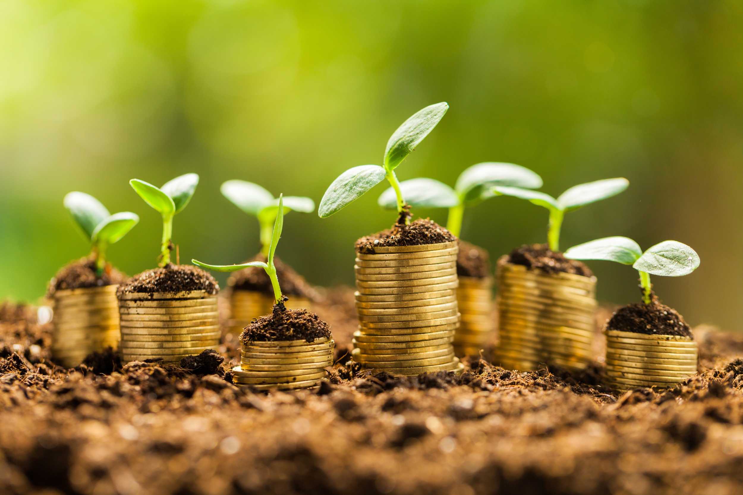 Equivalent Annual Annuity EAA Overview Formula Example