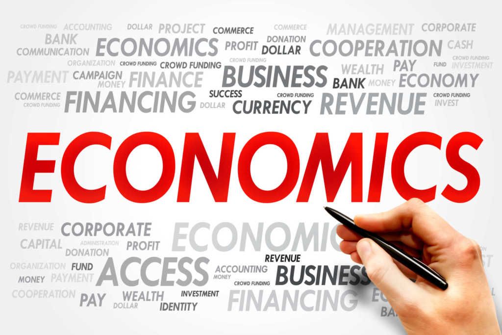 Normative Economics - Judging Economic Behavior as Good or Bad