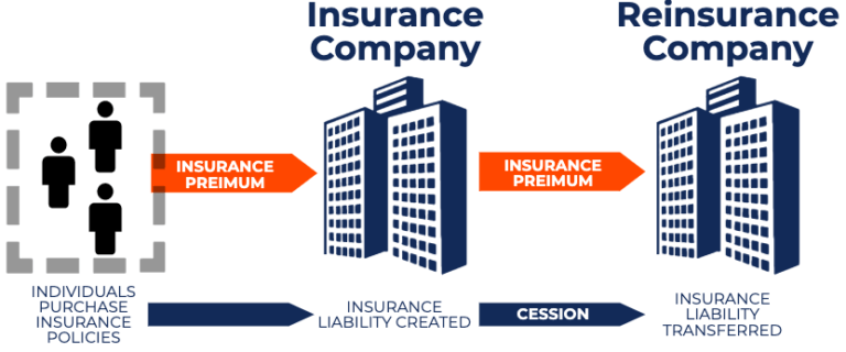 Reinsurance Companies - Overview, Roles, Revenue