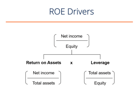 Return on Equity (ROE) - Formula, Examples and Guide to ROE