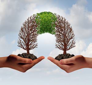 Types of Synergies in M&A Transactions - Overview, Examples, Types