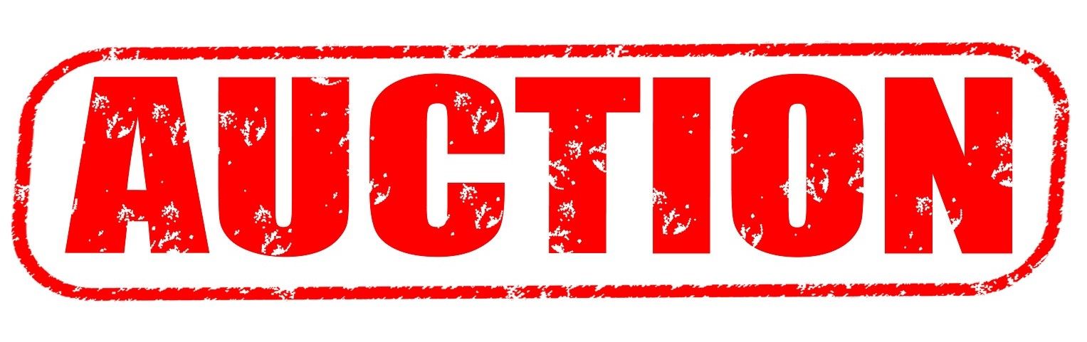 Vickrey Auction - Definition, How It Works, Example